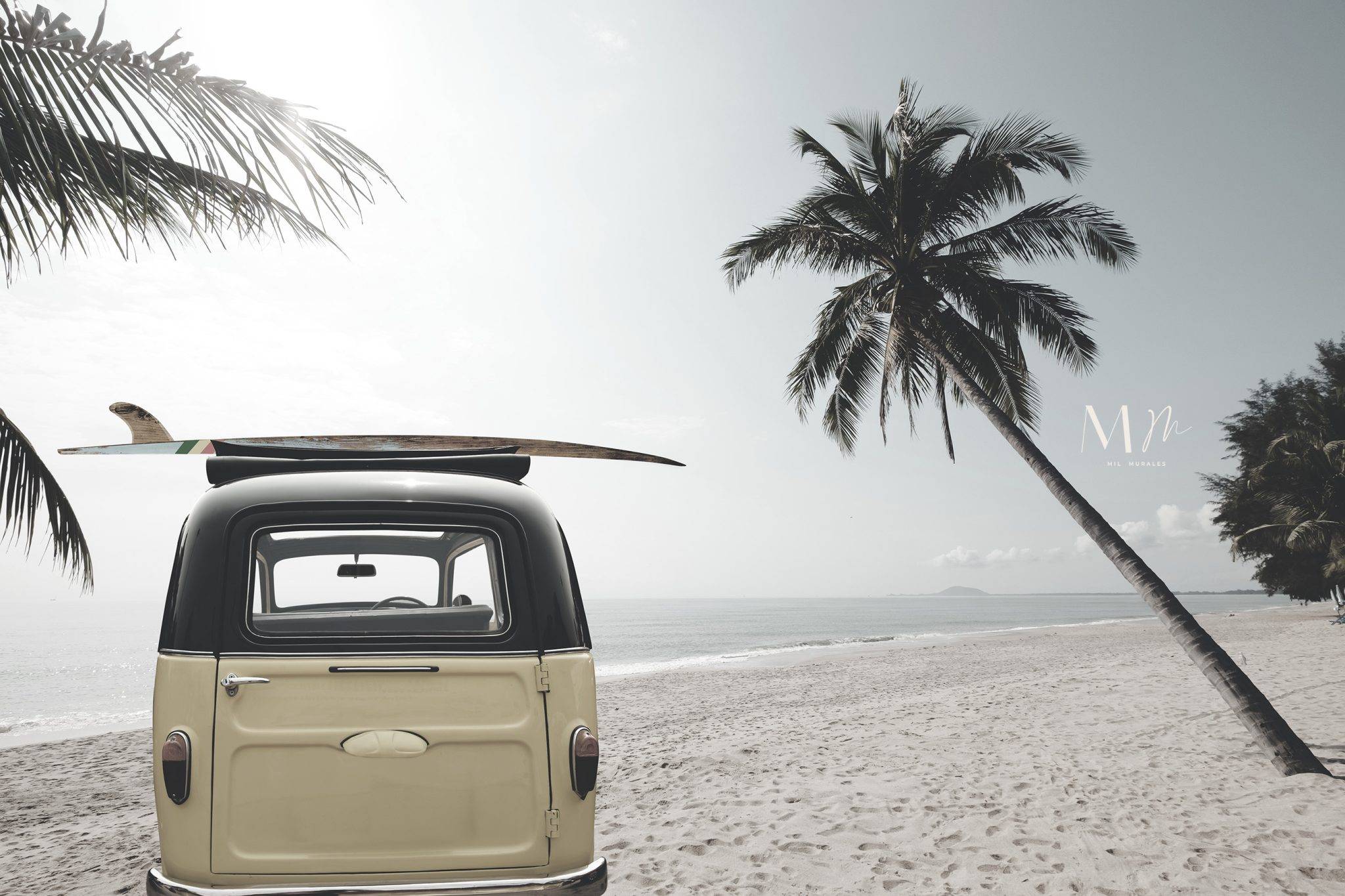 Combi Surf – Mil Murales®